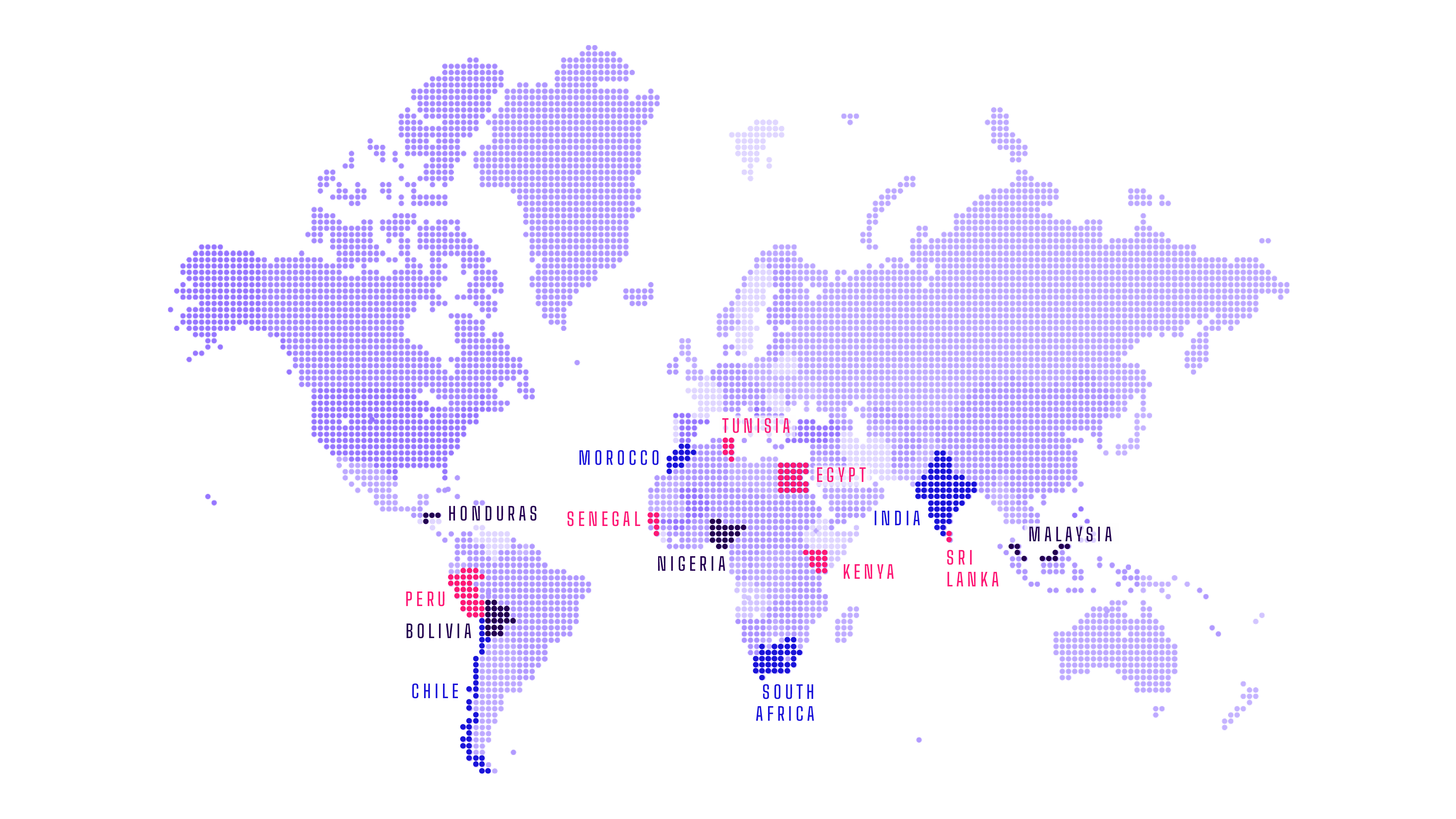 WIDB: About Women in Digital Business